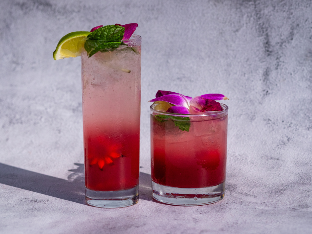 Spiced Hibiscus Ginger Fizz | AFFINITY GROUP